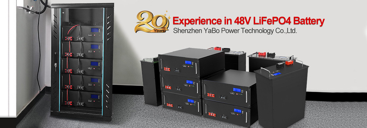 Quality Lifepo4 Home Battery & 12V Lifepo4 Battery factory from China