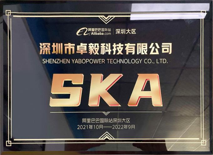 China Shenzhen YaBo Power Technology Co., Ltd. company profile